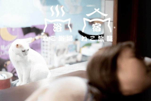Neko Hatago, Hostel di Jepang yang Ajak Tamu Menghitung Kucing sampai ...