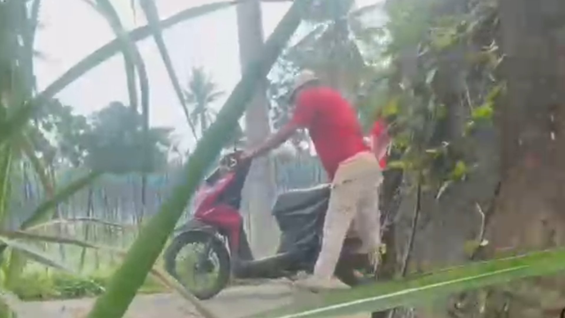 Motor Honda Beat Ditemukan di Tengah Ladang Tebu Malang, Hasil Curanmor?