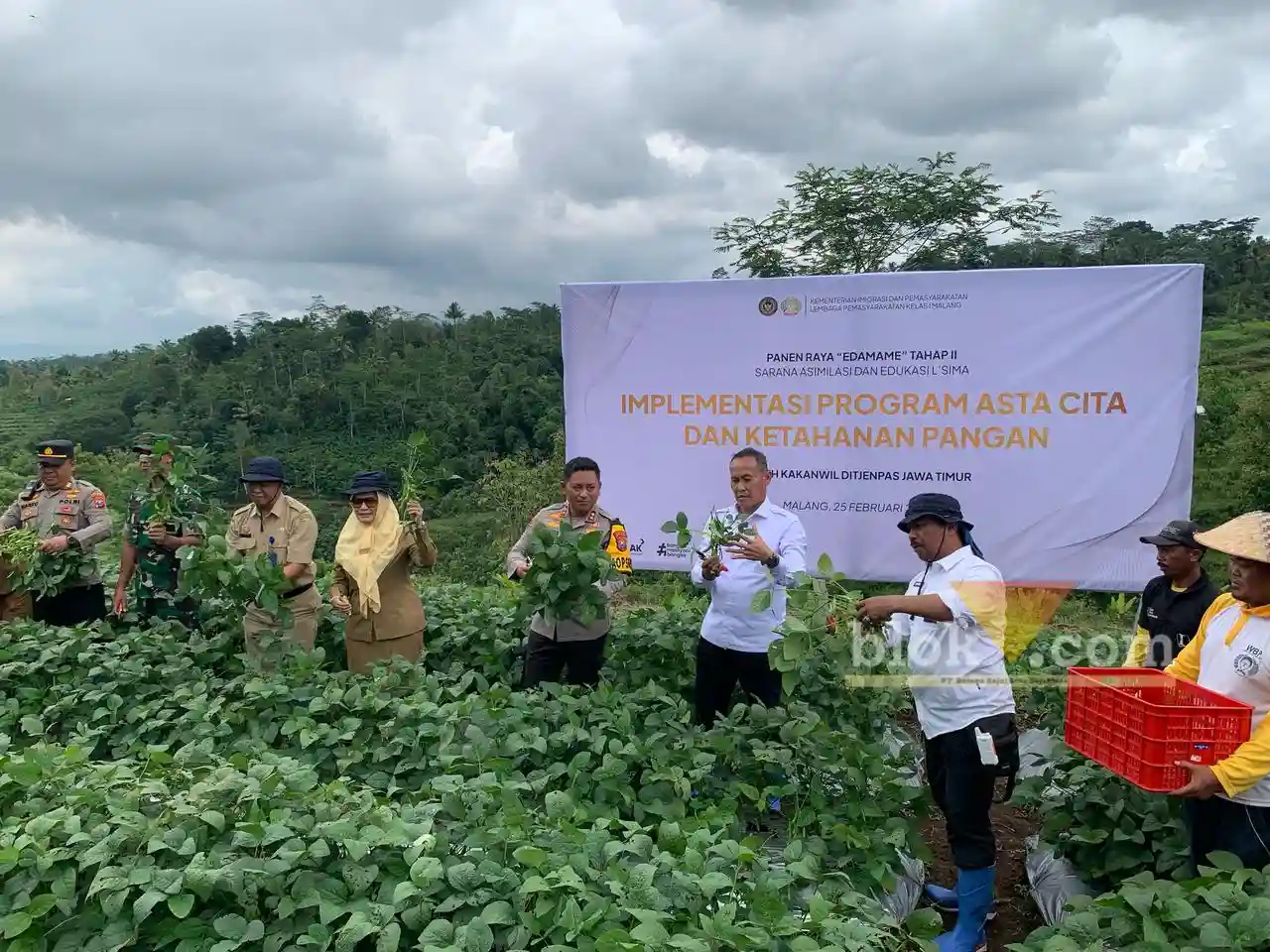 Membanggakan, WBP SAE L'Sima Sukses Jadi Petani Edamame